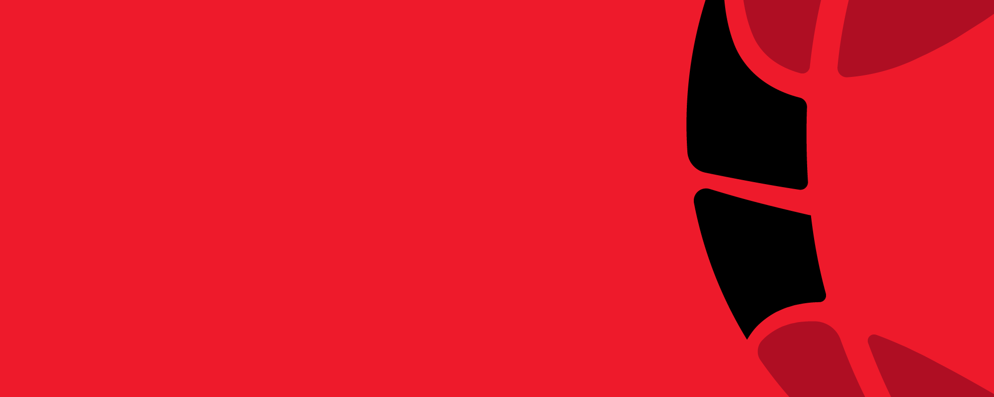 Red Rush Basketball Leadership Program - Montreal Community Cares